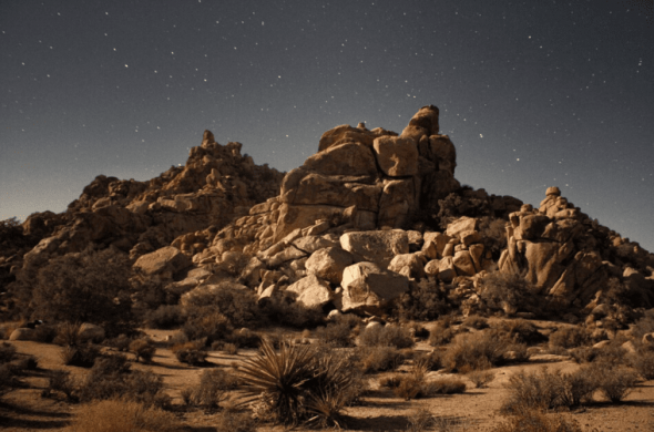 Things To Do in Phoenix at Night - Night Life Ideas